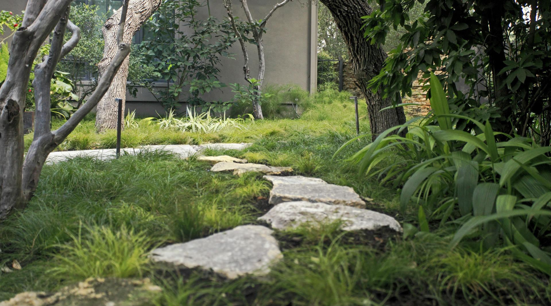 24 Deep Shade Garden Plants Ideas To Consider | SharonSable