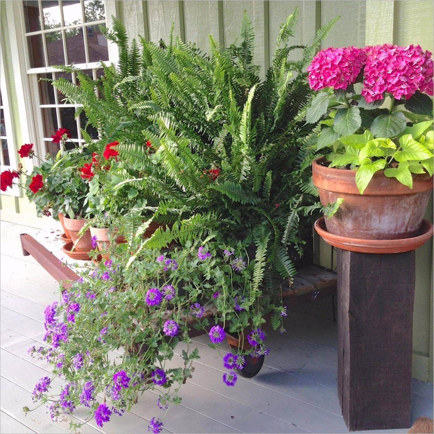 15 Container Garden Combinations Ideas To Try This Year | SharonSable