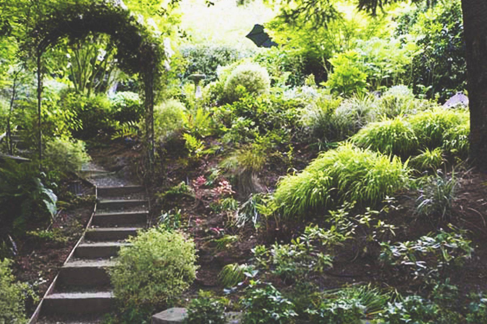 24 English Woodland Garden Ideas For This Year | SharonSable