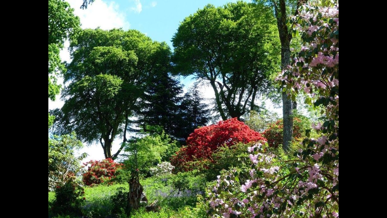 13 Ardkinglas Woodland Garden Ideas To Consider | SharonSable
