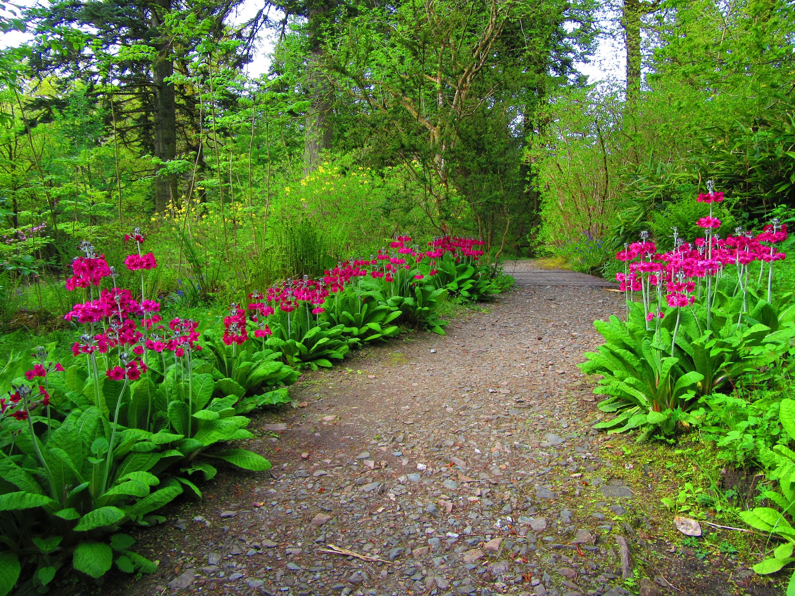 13 Ardkinglas Woodland Garden Ideas To Consider | SharonSable