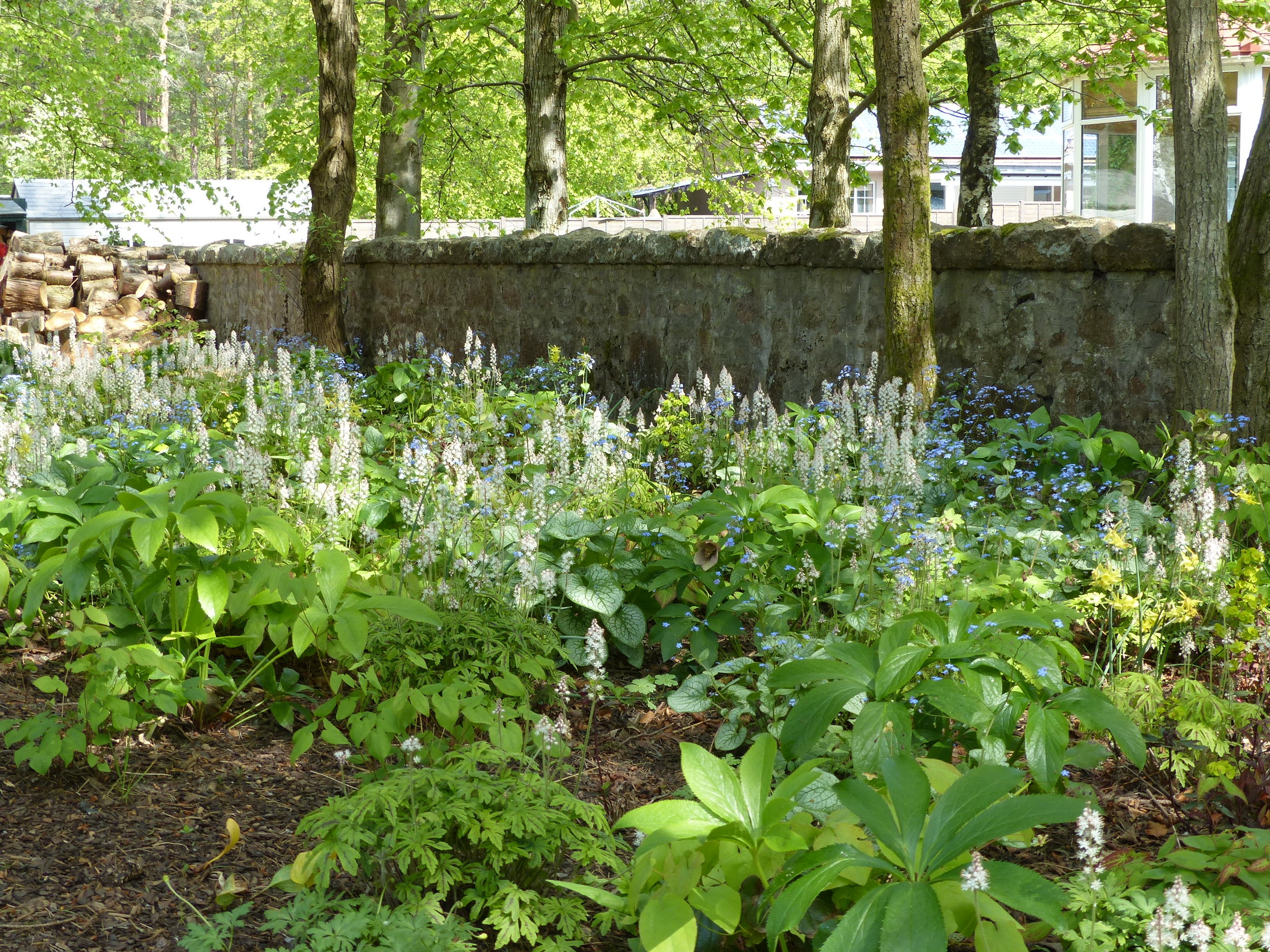 13 Ardkinglas Woodland Garden Ideas To Consider | SharonSable