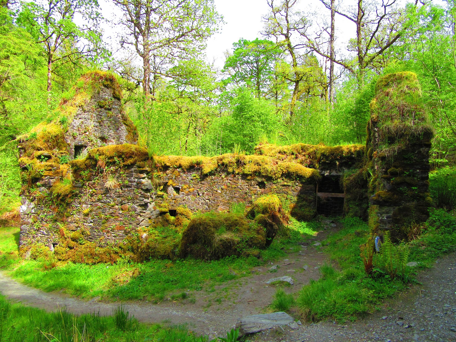 13 Ardkinglas Woodland Garden Ideas To Consider | SharonSable