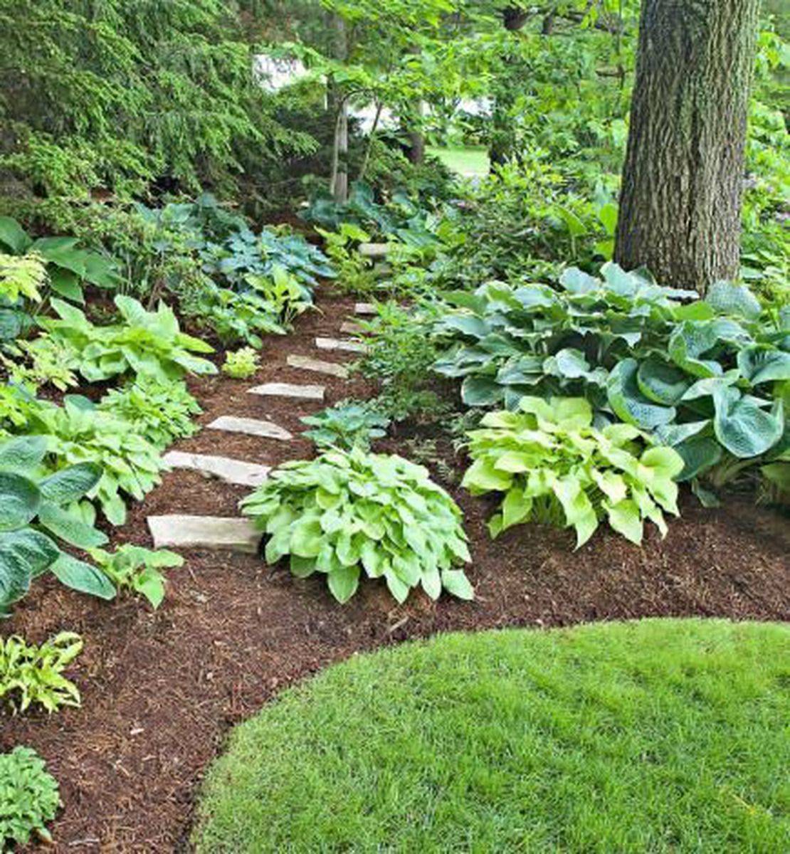 27 Fern Garden Path Ideas For This Year | SharonSable