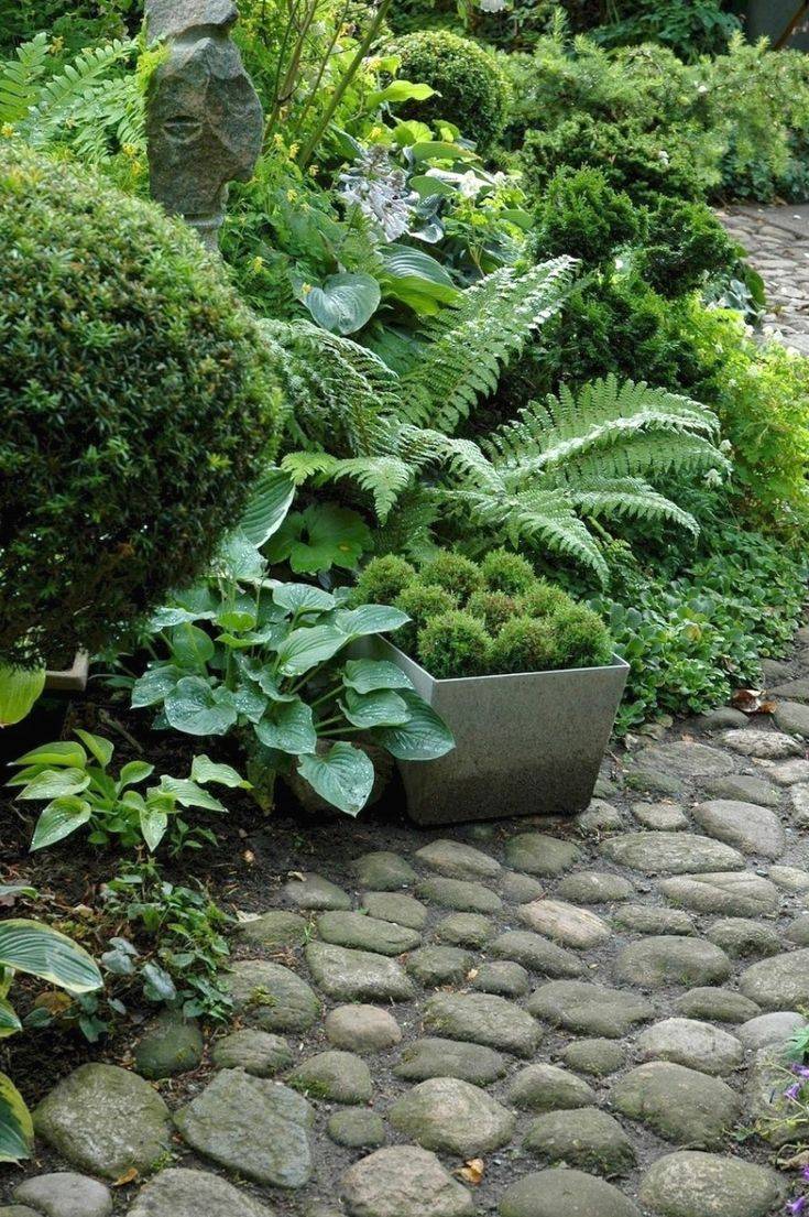 27 Fern Garden Path Ideas For This Year | SharonSable