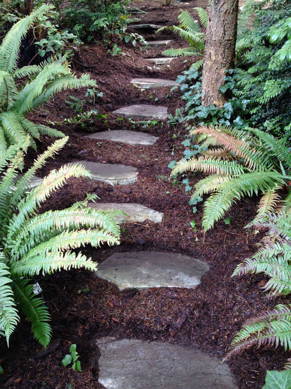 27 Fern Garden Path Ideas For This Year | SharonSable