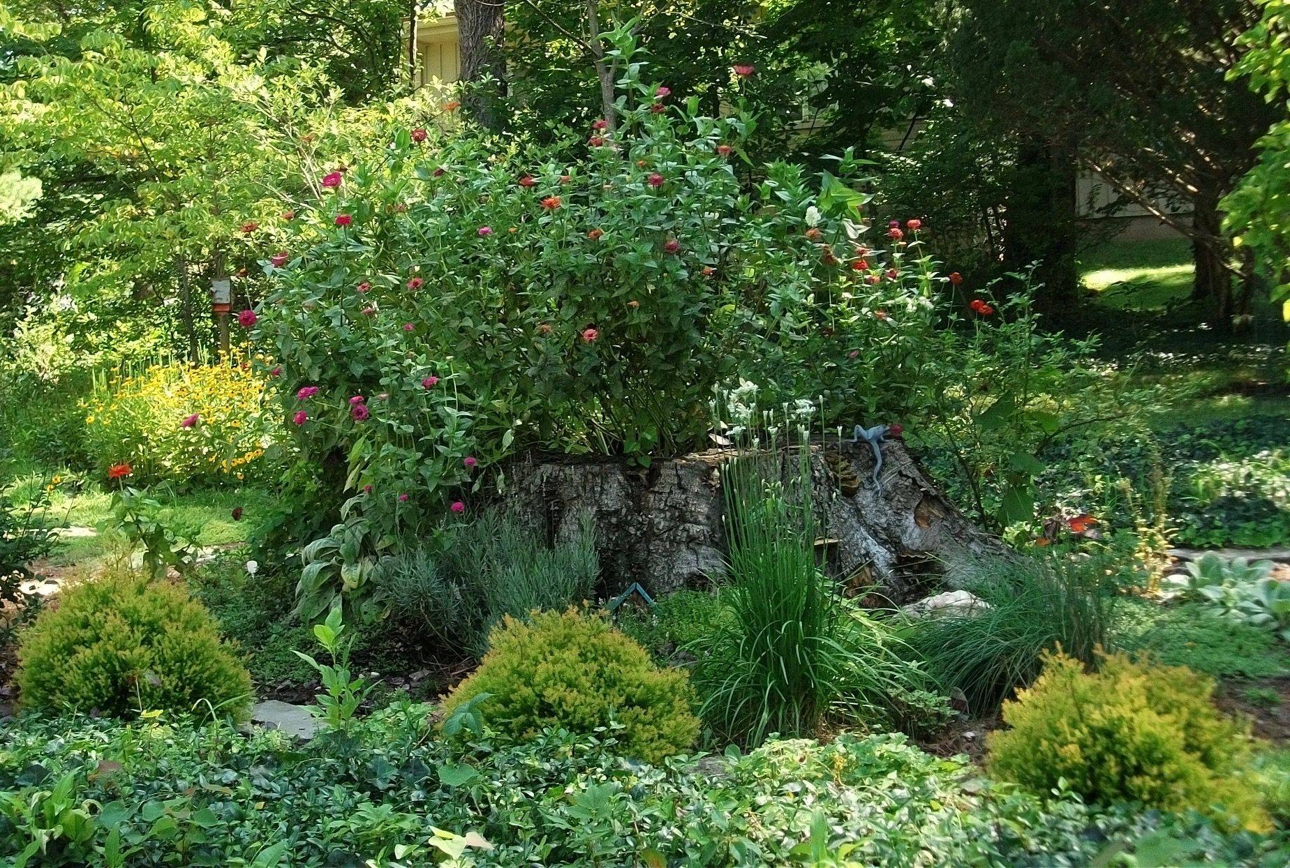 23 Garden Inspiration Focal Point Ideas Worth a Look | SharonSable