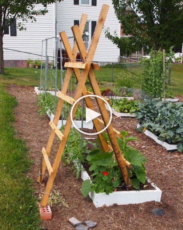 19 Upcycled Garden Trellis Ideas You Should Look | SharonSable