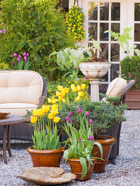 19 Spring Bulb Container Garden Ideas To Try This Year | SharonSable