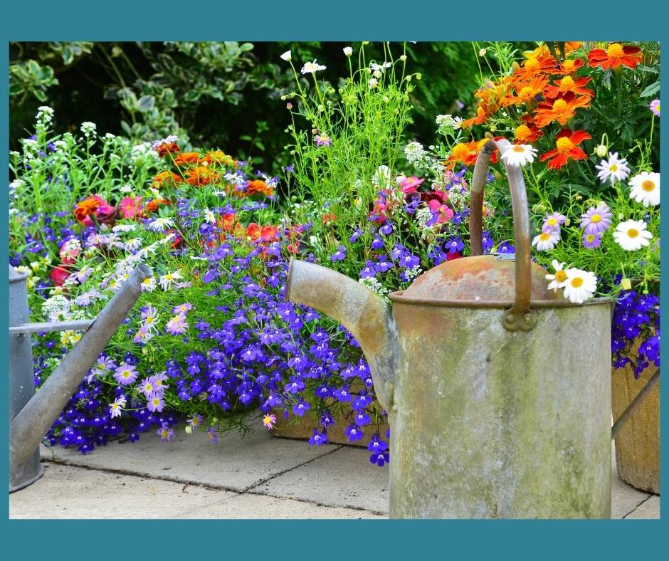 21 Gardening in Small Spaces Ideas To Consider | SharonSable