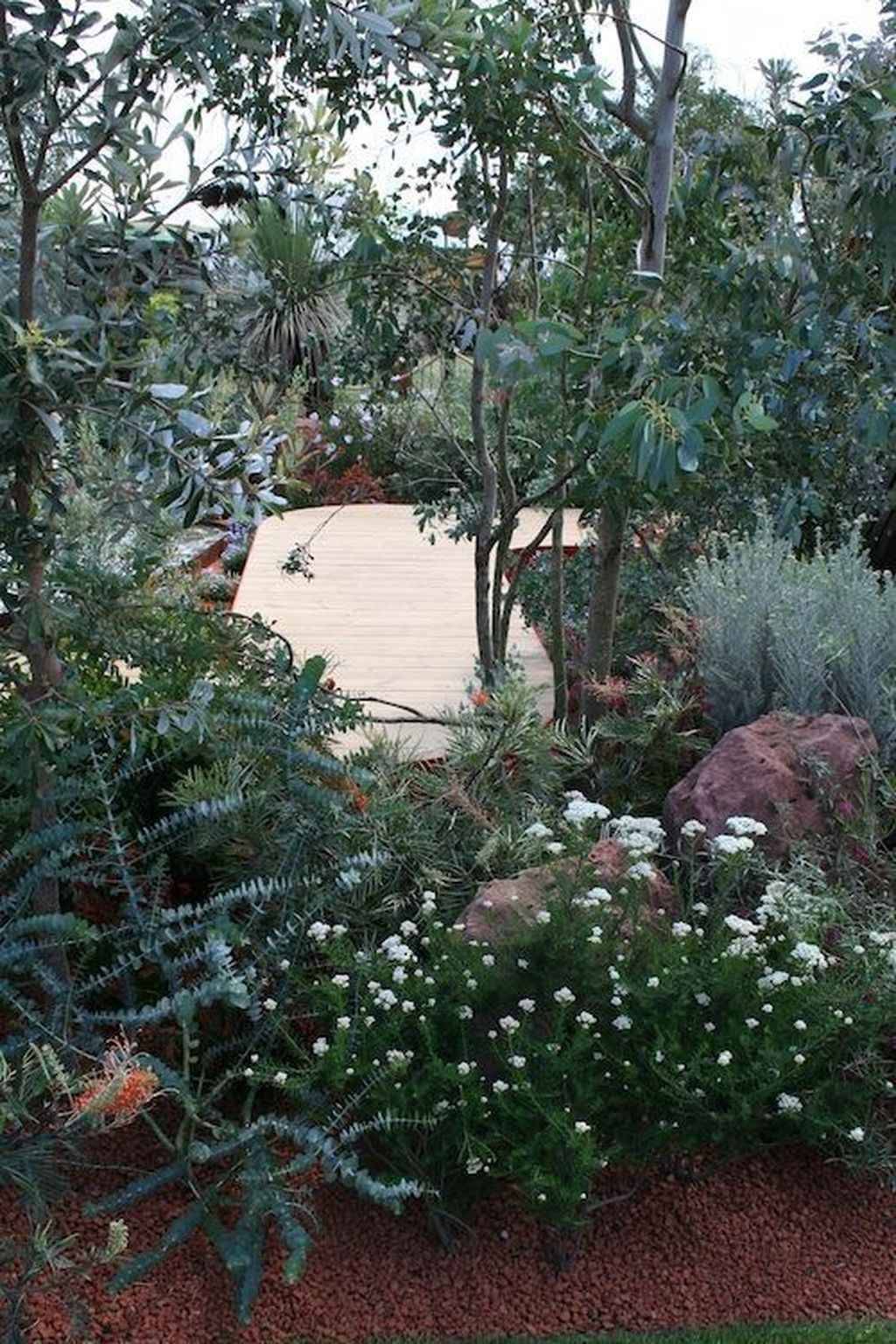 25 Australian Bush Garden Design Ideas Worth a Look | SharonSable