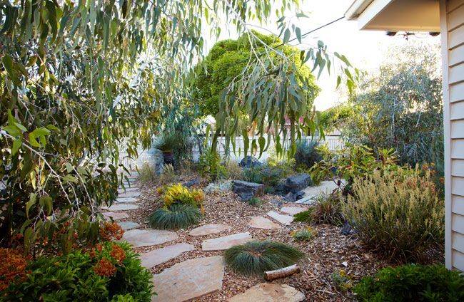 25 Australian Bush Garden Design Ideas Worth a Look | SharonSable