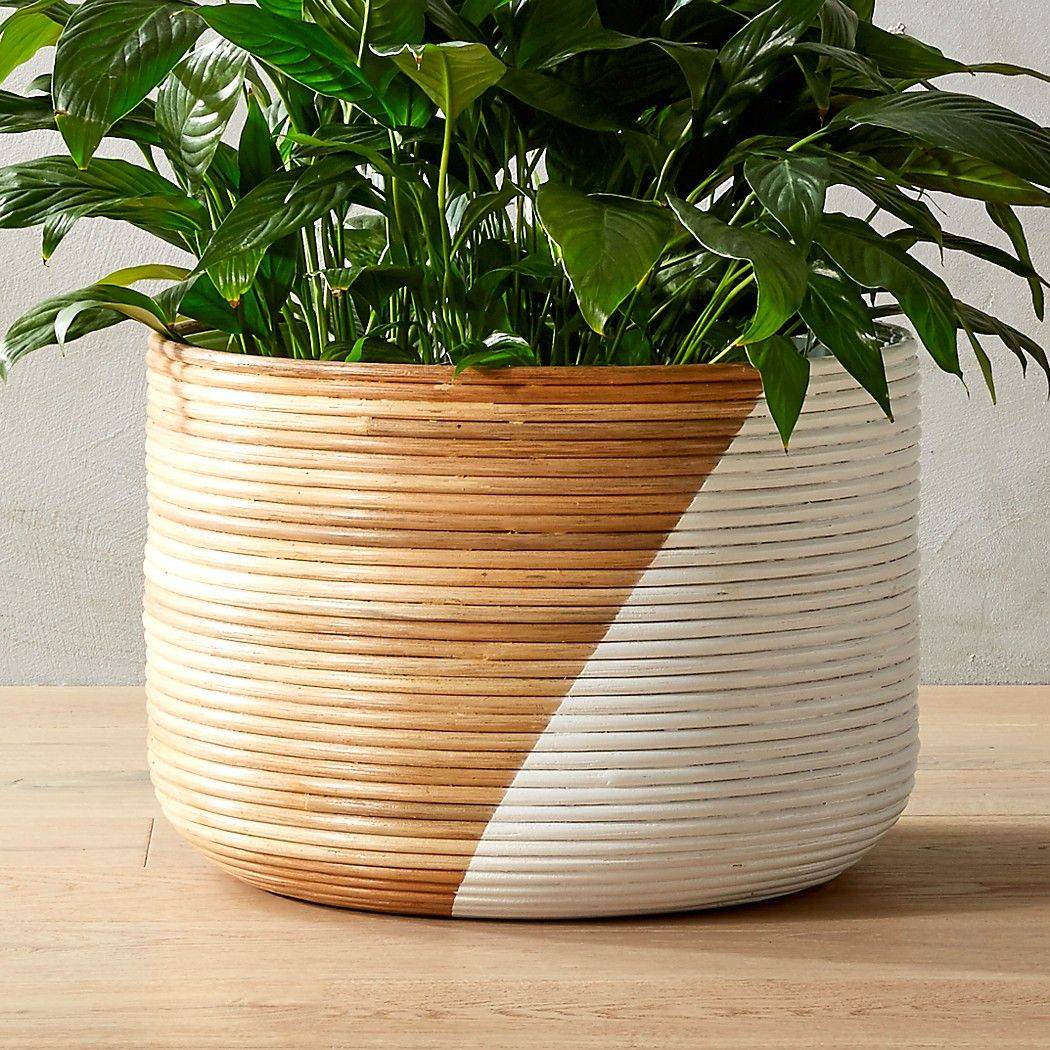 26 Large Garden Planters Product Ideas You Should Look | SharonSable