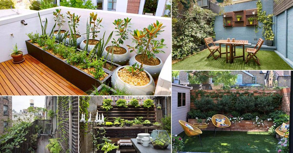 23 City Gardening Ideas Worth to Check | SharonSable