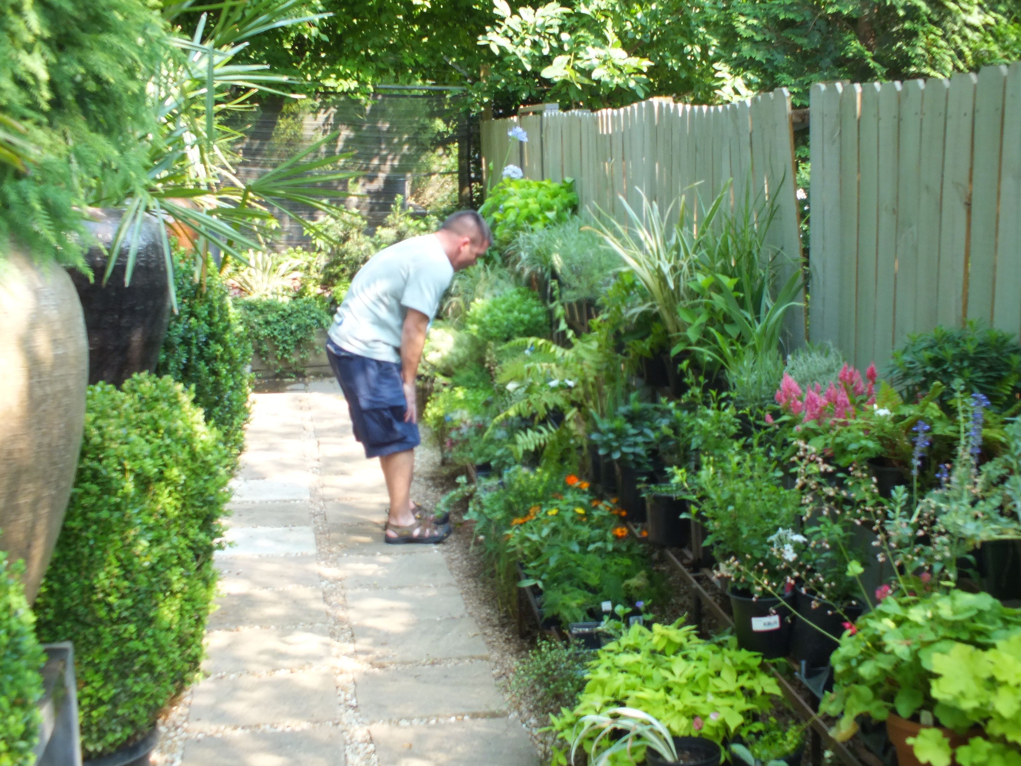 15 Japanese Garden Borders Ideas You Gonna Love | SharonSable