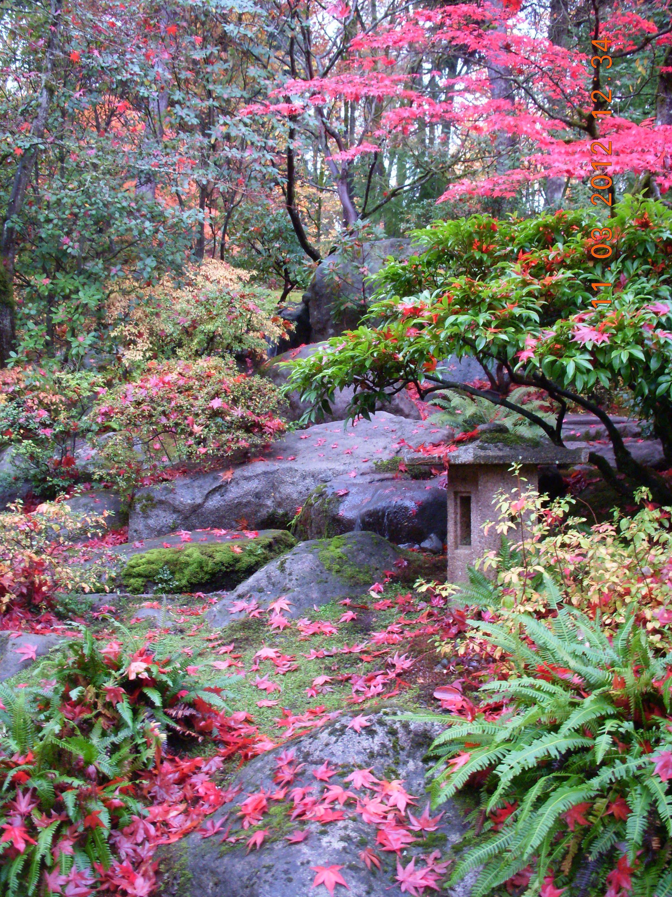 21 Seattle Japanese Garden Ideas You Must Look | SharonSable