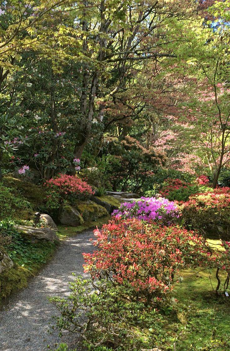 21 Seattle Japanese Garden Ideas You Must Look | SharonSable