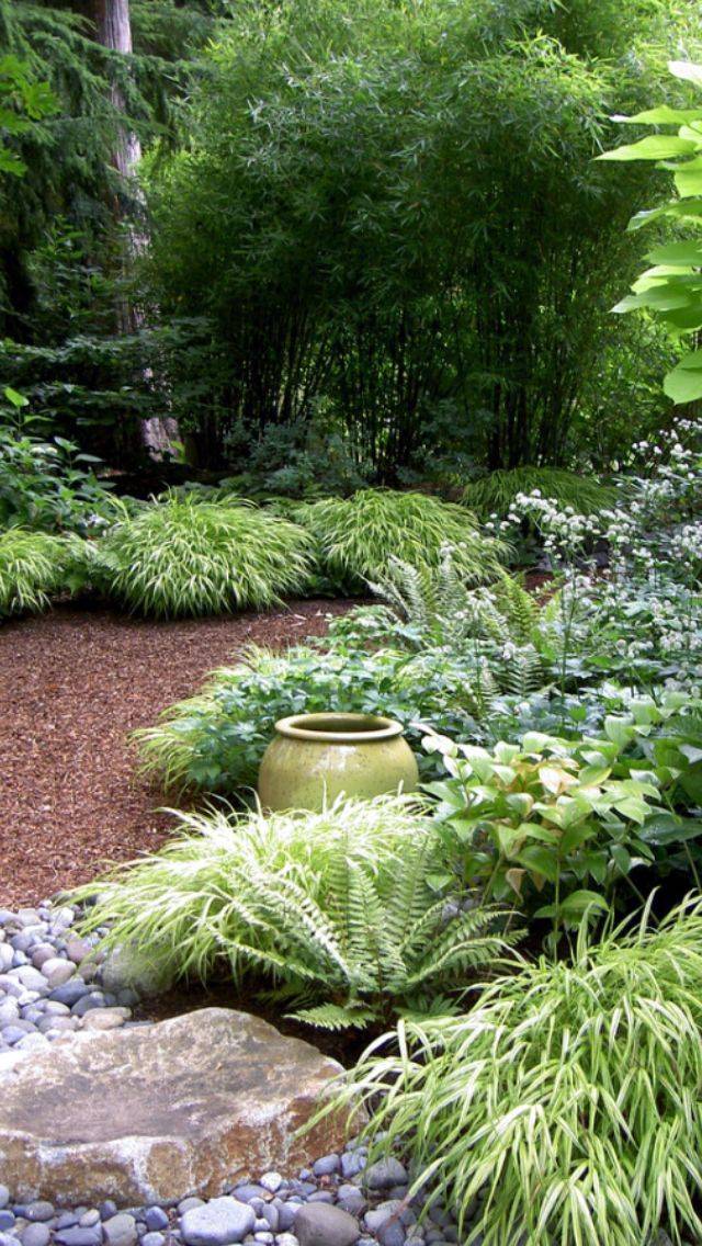 20 Shade Plants Japanese Garden Ideas You Must Look | SharonSable