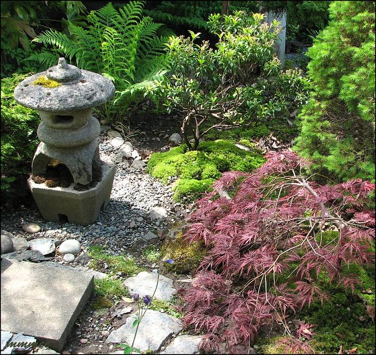 20 Shade Plants Japanese Garden Ideas You Must Look | SharonSable