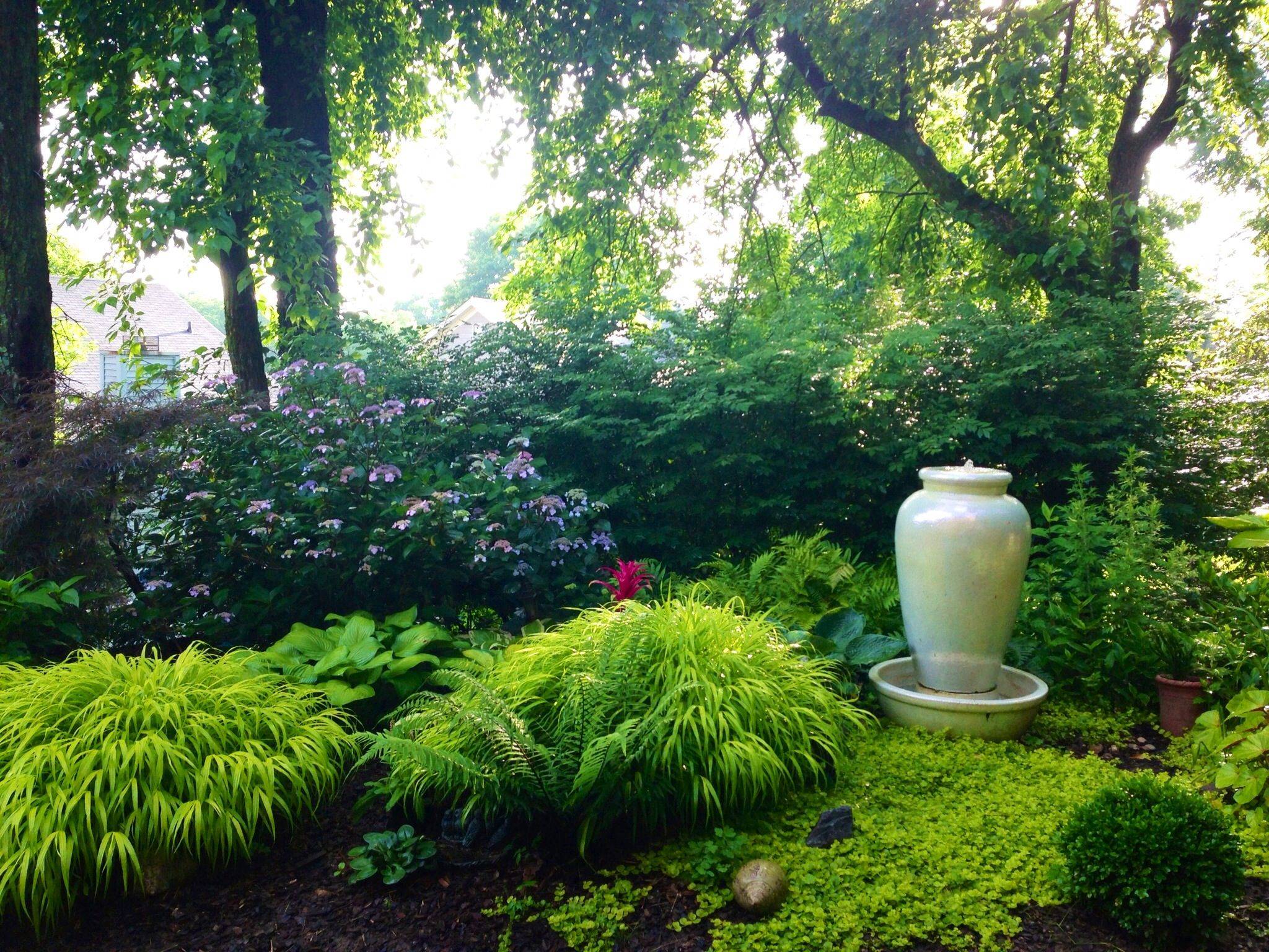 20 Shade Plants Japanese Garden Ideas You Must Look | SharonSable