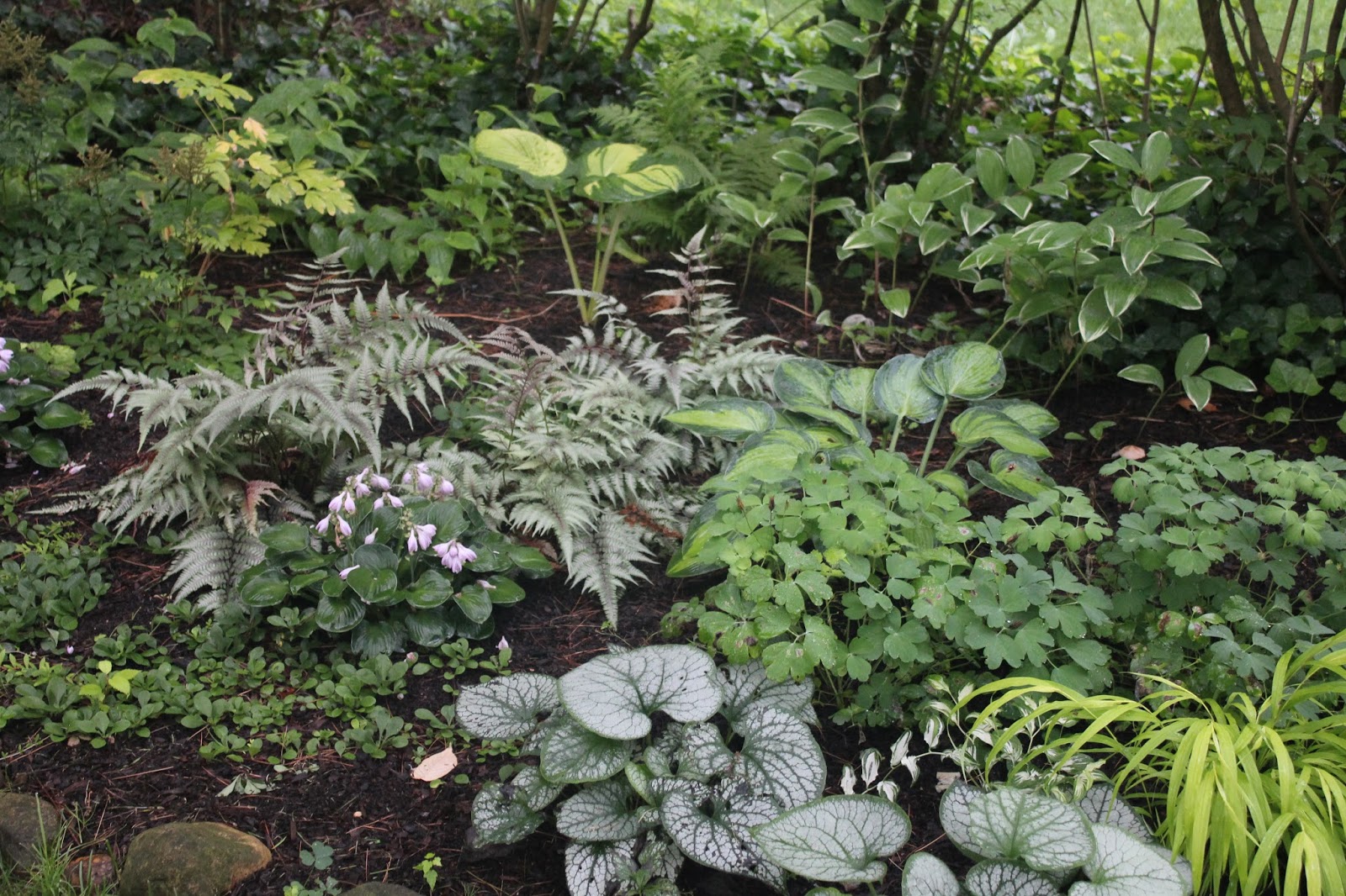 20 Shade Plants Japanese Garden Ideas You Must Look | SharonSable