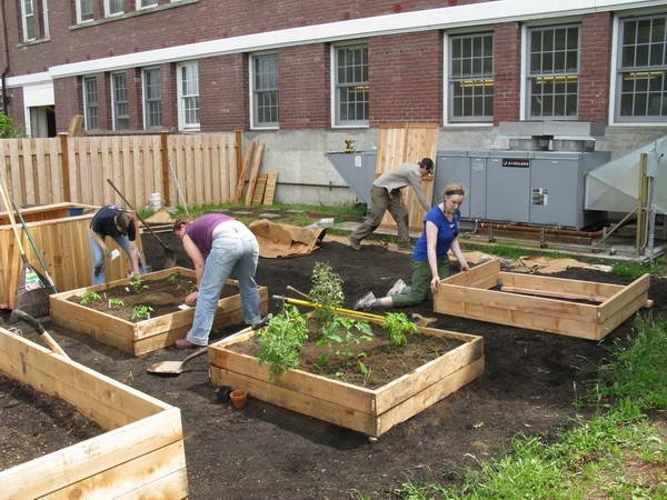 21 Raised Garden Beds Off Ground Ideas You Cannot Miss | SharonSable