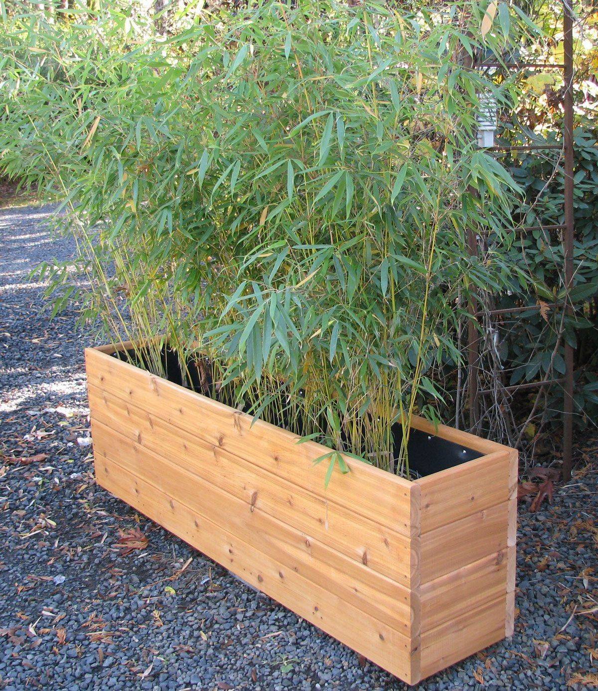 22 Bamboo Garden Bed Ideas For This Year | SharonSable