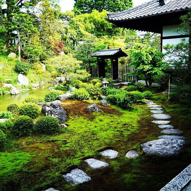 22 Moss Garden Kyoto Ideas For This Year | SharonSable