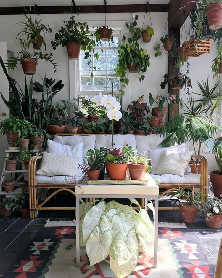 17 Amazing Indoor Garden Ideas Worth to Check | SharonSable