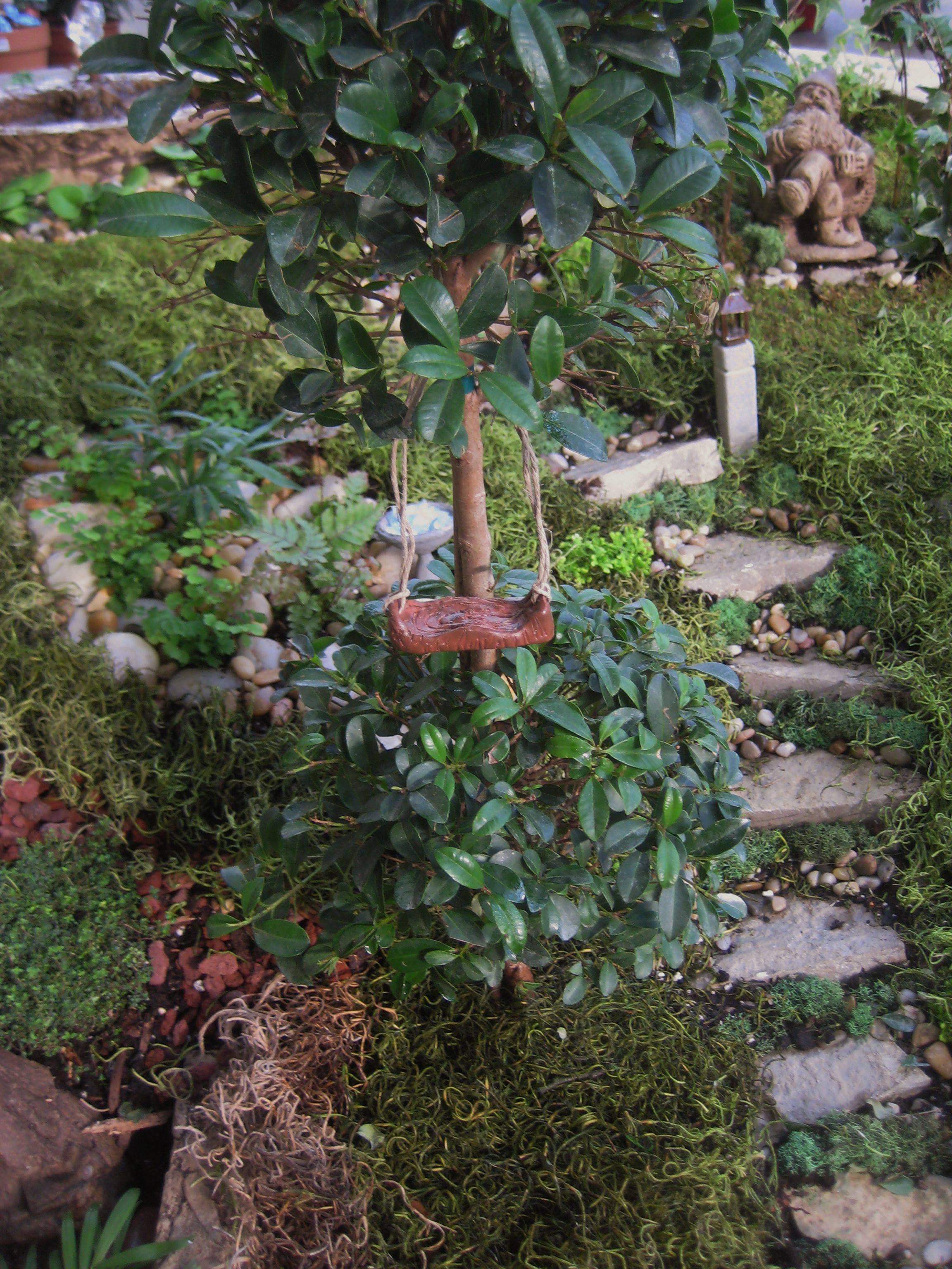 18 Fairy Garden Display Ideas Worth a Look | SharonSable