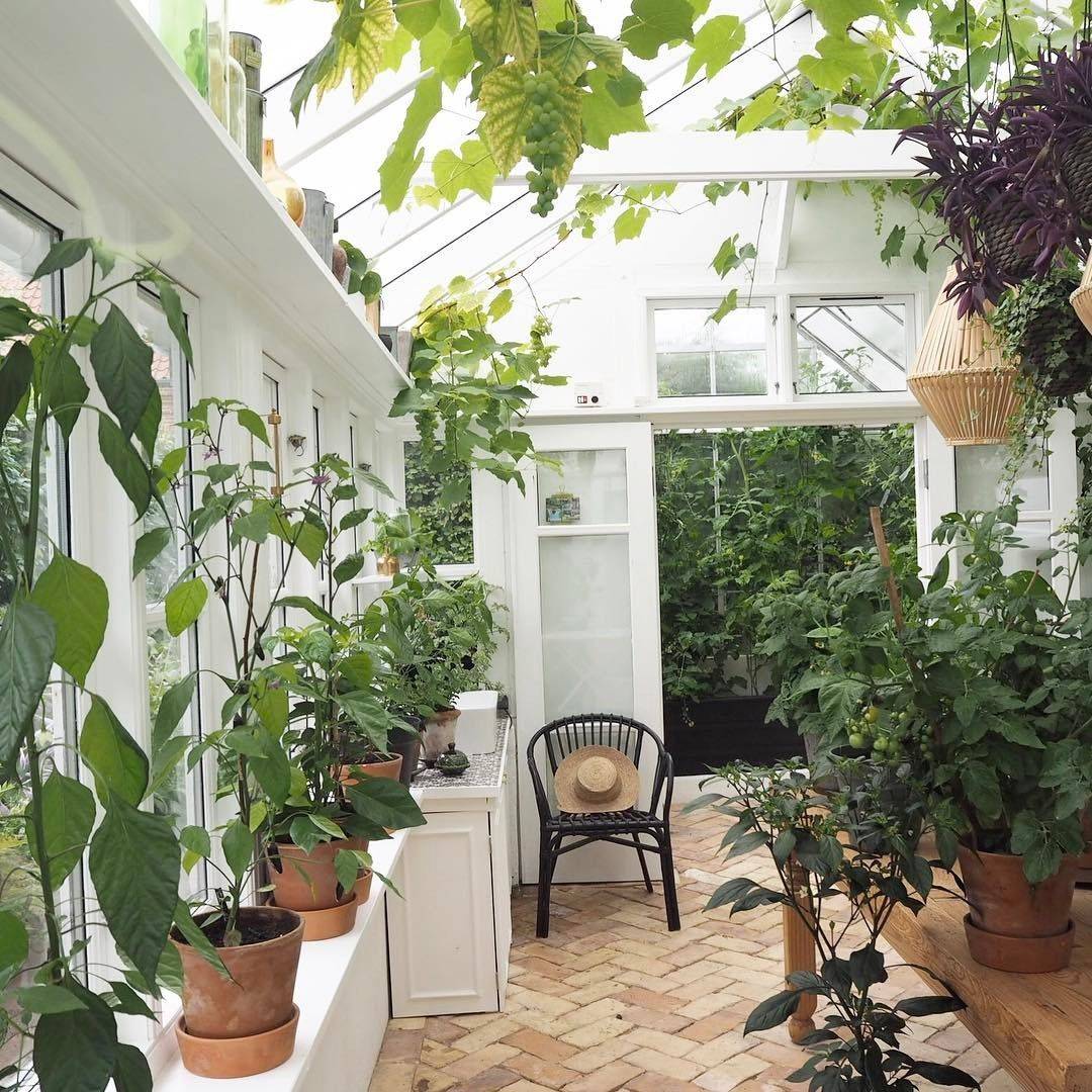 23 Indoor Garden Greenhouse Ideas You Should Check | SharonSable