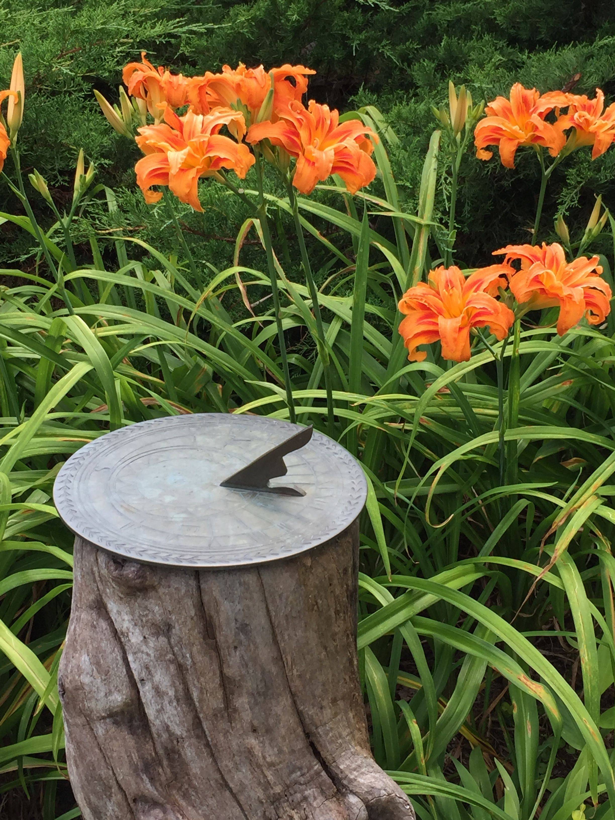 16 Garden Sundial Ideas For This Year | SharonSable