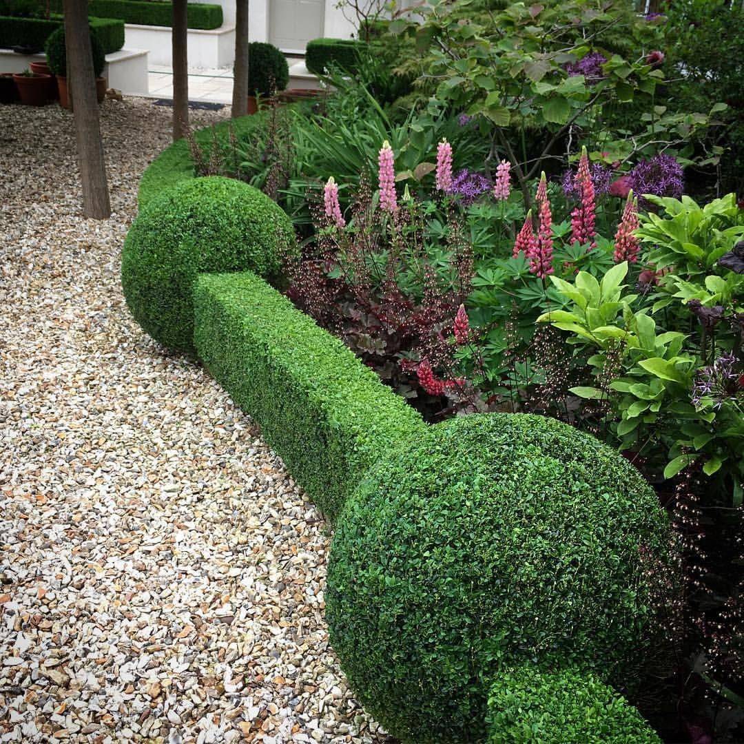 22 Small Boxwood Garden Design Ideas You Cannot Miss | SharonSable