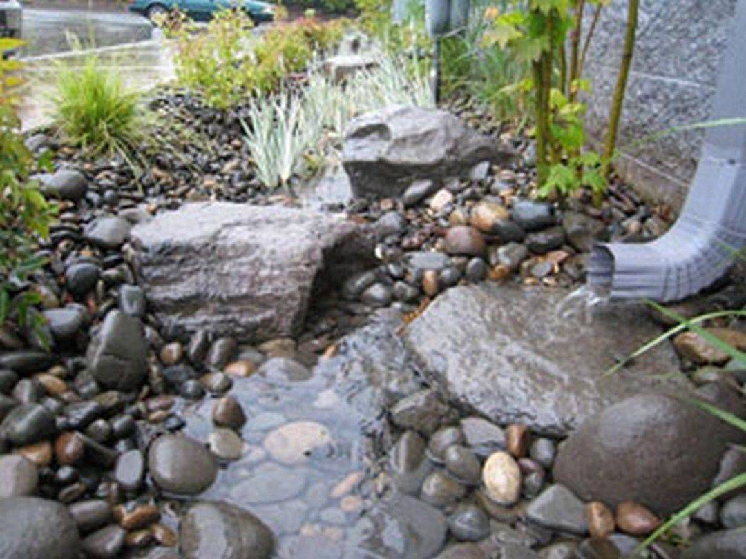 24 DIY Rain Garden Ideas To Consider | SharonSable