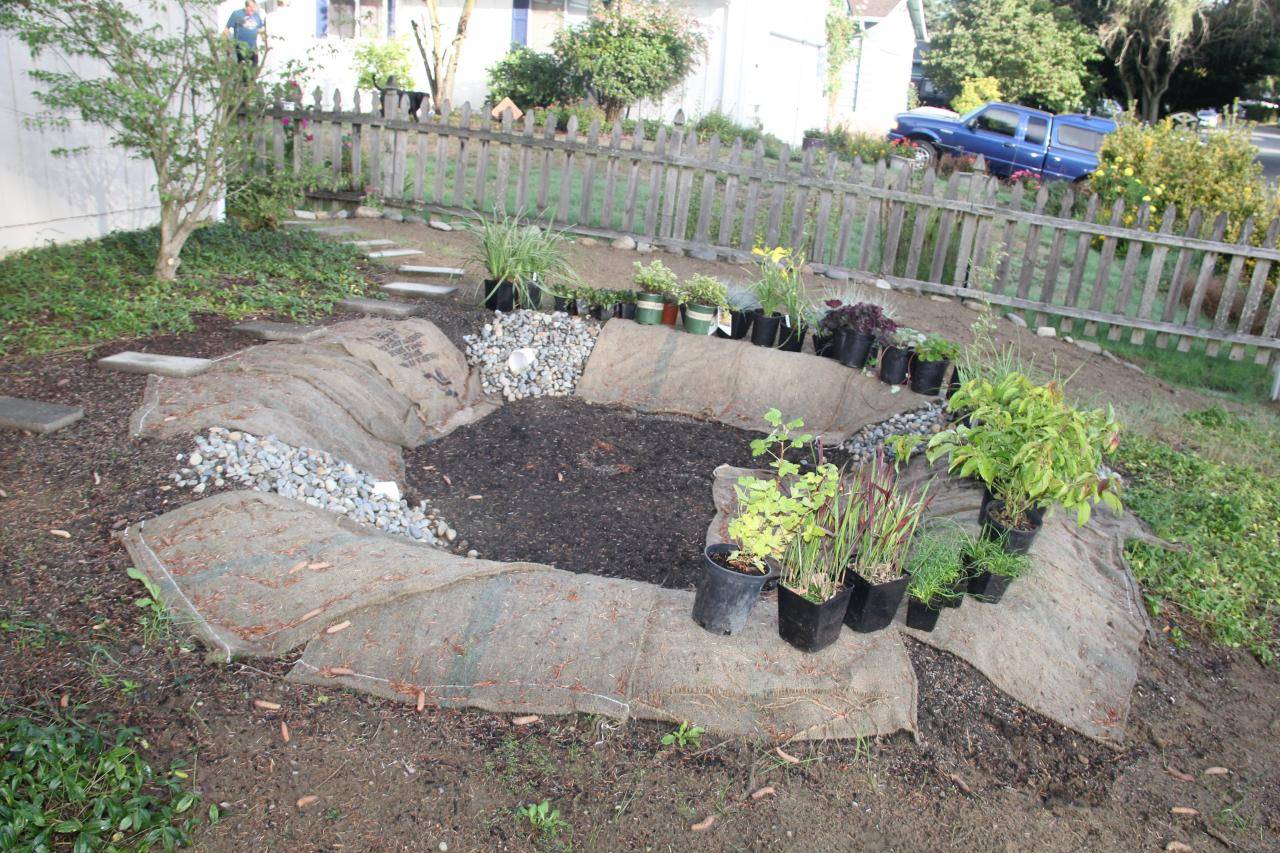 24 DIY Rain Garden Ideas To Consider | SharonSable