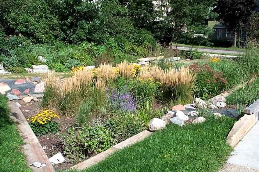19 Rain Garden Examples Ideas You Should Look | SharonSable