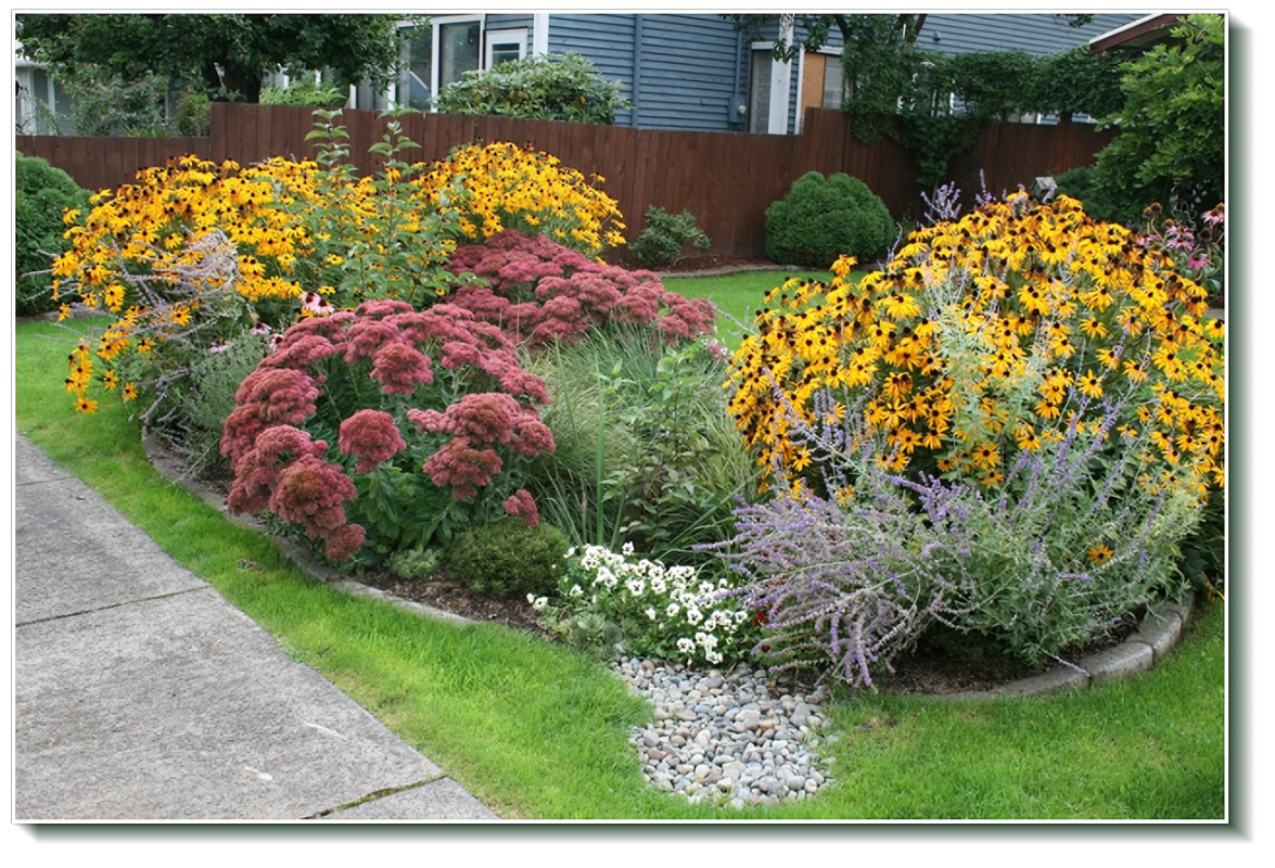 19 Rain Garden Examples Ideas You Should Look | SharonSable