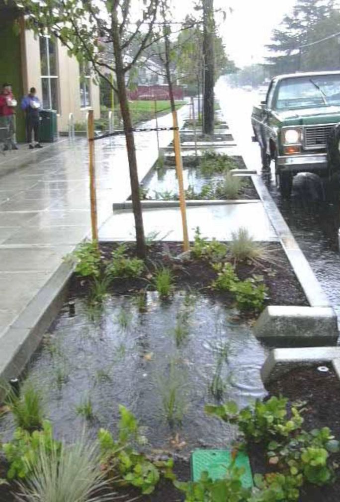 19 Rain Garden Examples Ideas You Should Look | SharonSable