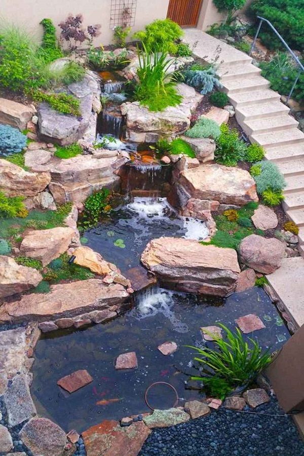 14 Rain Garden Pond Ideas Worth a Look | SharonSable