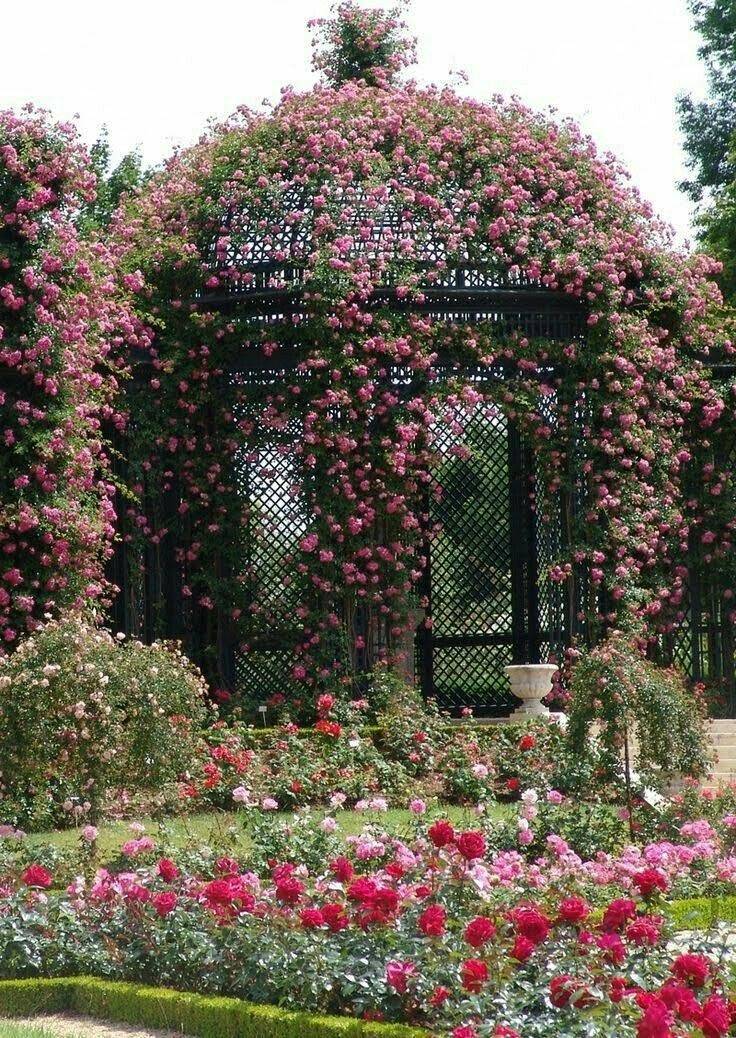 26 Circular Rose Garden Design Ideas You Should Check | SharonSable