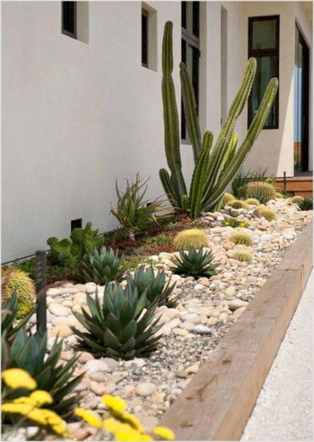24 Desert Rock Garden Ideas You Should Look | SharonSable