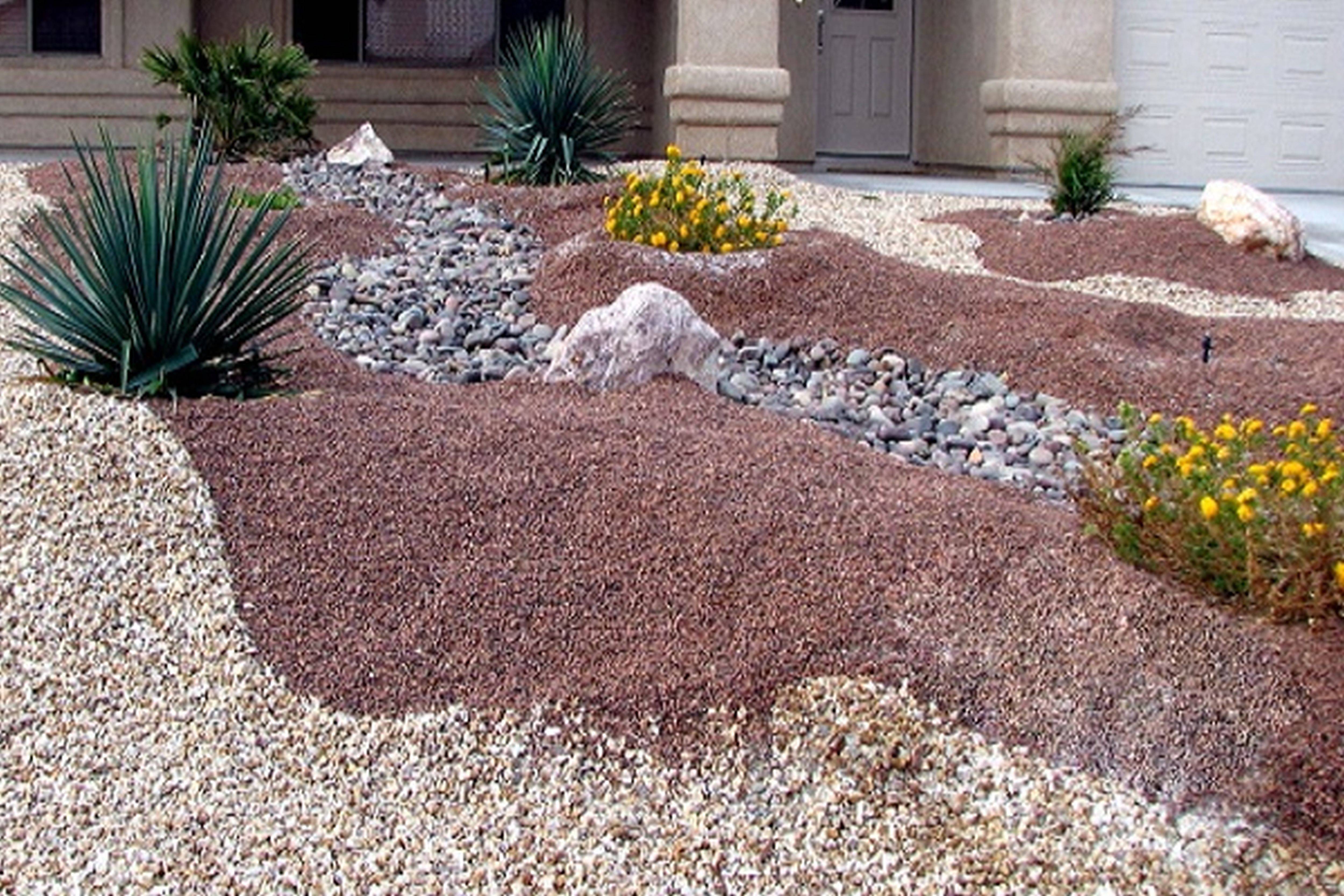 24 Desert Rock Garden Ideas You Should Look | SharonSable