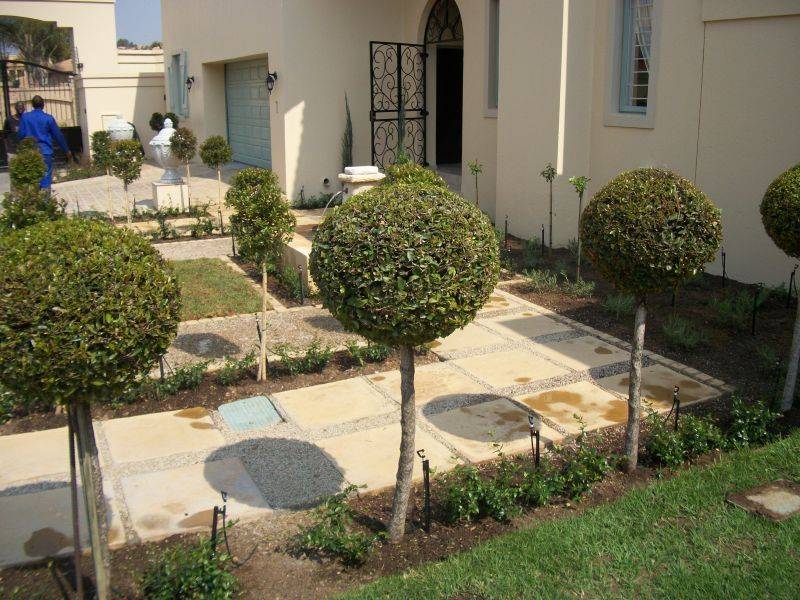 24 French Formal Garden Design Ideas You Must Look | SharonSable