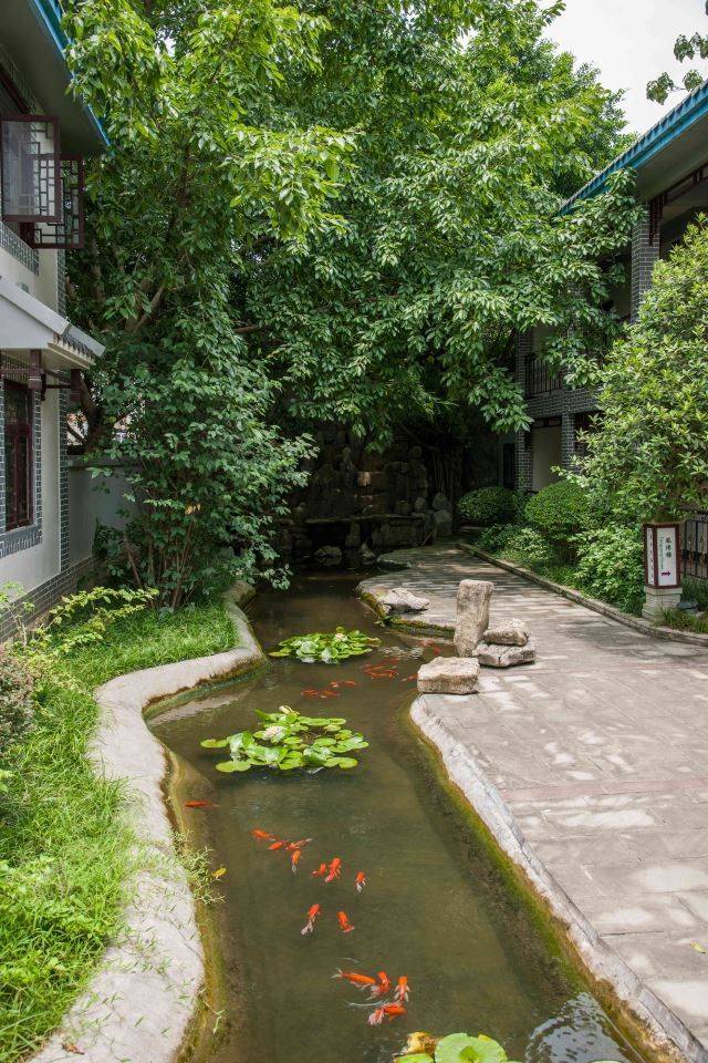 25 Formal Garden Pond Ideas You Cannot Miss | SharonSable