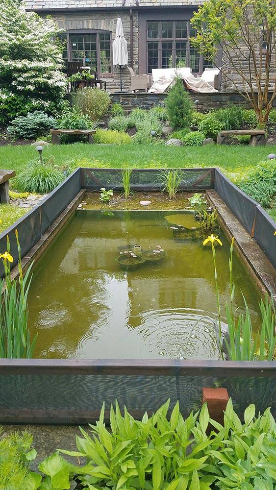 25 Formal Garden Pond Ideas You Cannot Miss | SharonSable