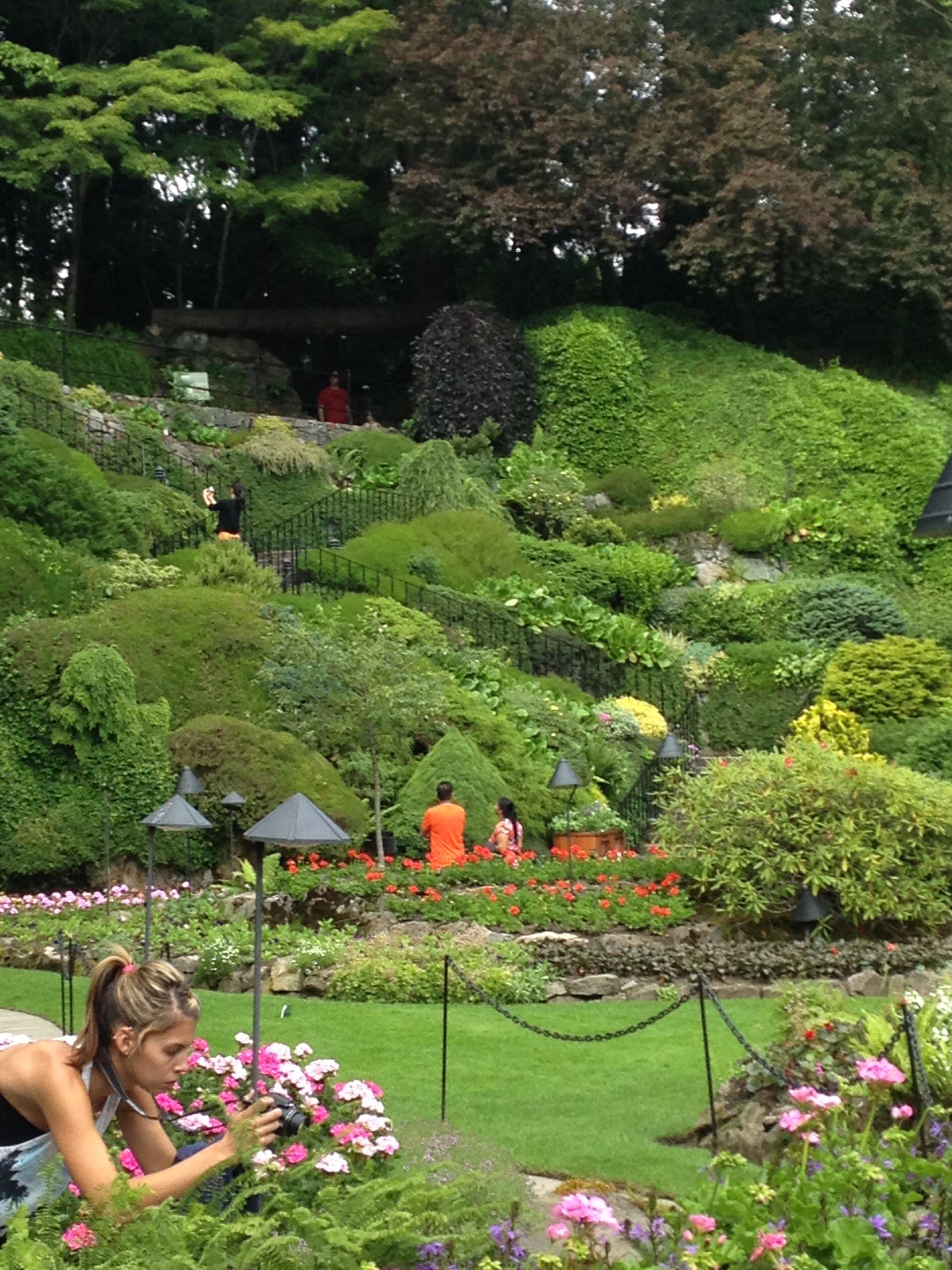 19 Ferry to Butchart Garden Ideas To Try This Year | SharonSable