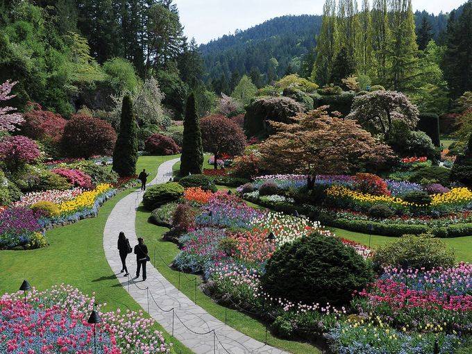19 Ferry to Butchart Garden Ideas To Try This Year | SharonSable