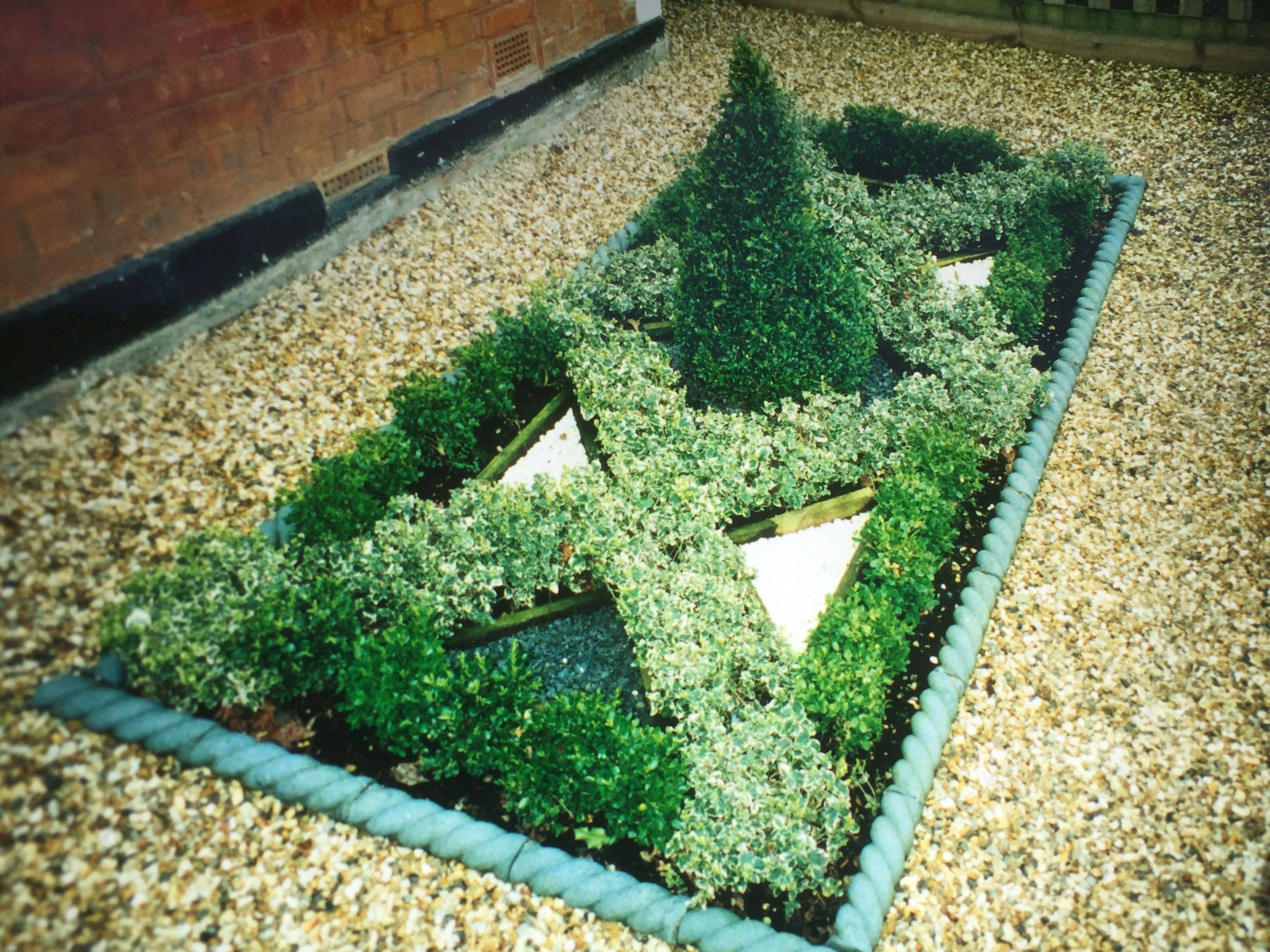 19 Easy Knot Garden Ideas For This Year | SharonSable