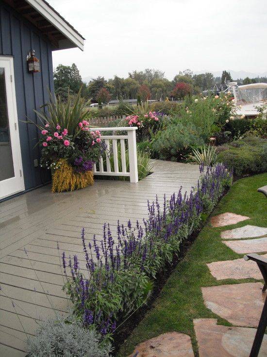 24 Garden Design with Lavender Ideas You Cannot Miss | SharonSable