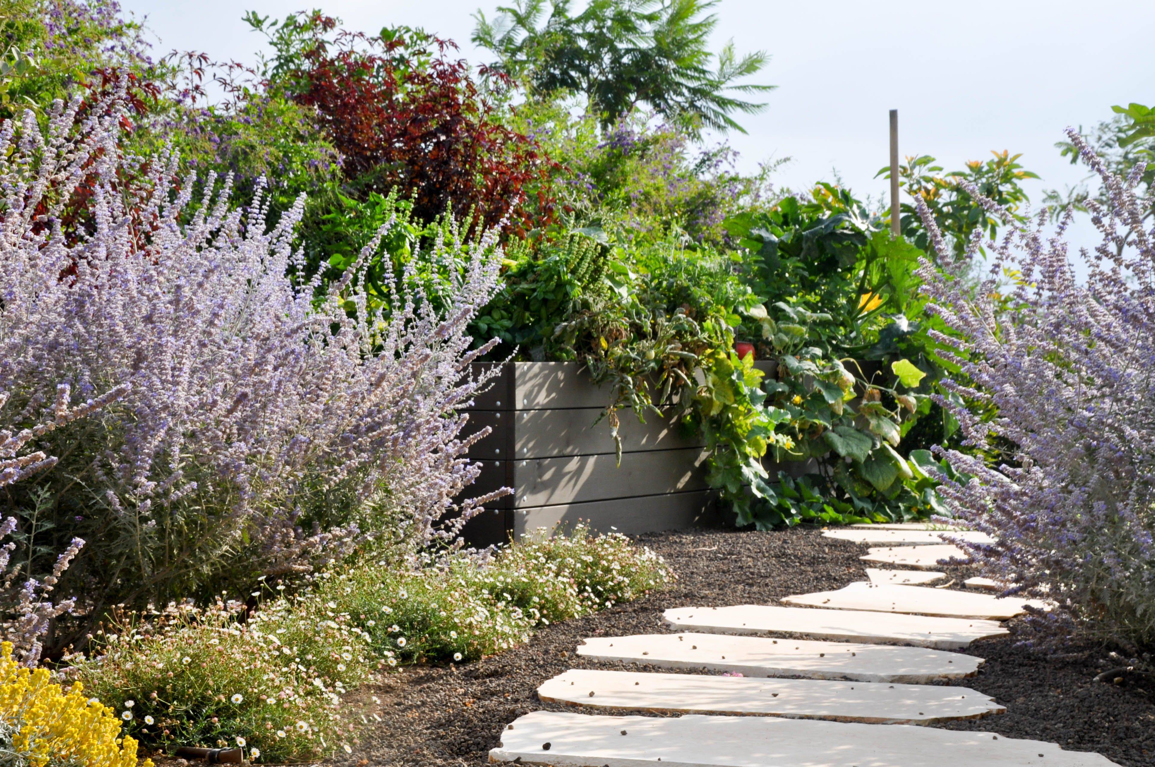 24 Garden Design with Lavender Ideas You Cannot Miss | SharonSable